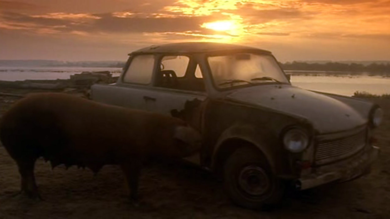 Macska-jaj (1998) | Teljes filmadatlap | Mafab.hu