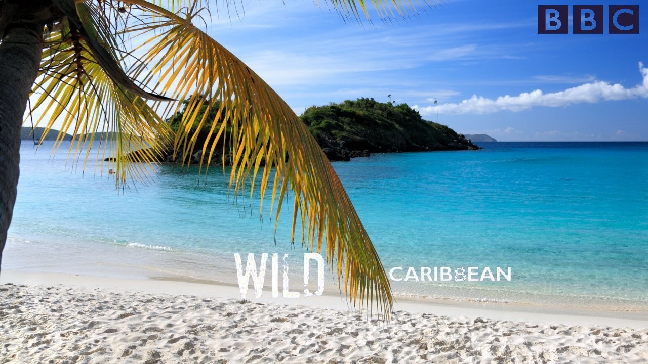 Karib-tenger, karibi világ (2007) - Sorozat | Mafab.hu