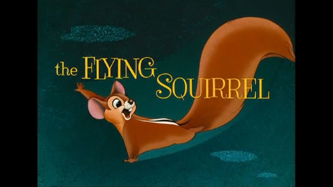 The Flying Squirrel (1954) | Teljes filmadatlap | Mafab.hu
