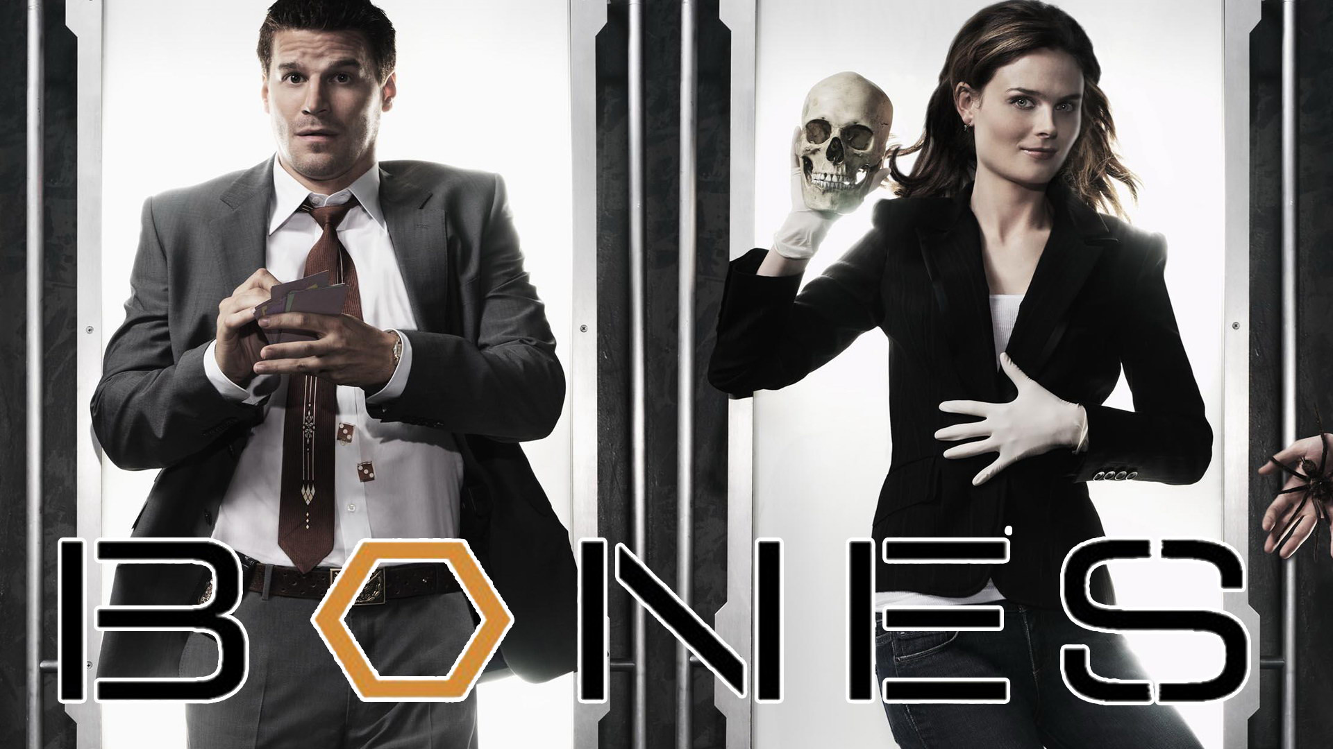 Dr. Csont (2005) - Sorozat | Mafab.hu