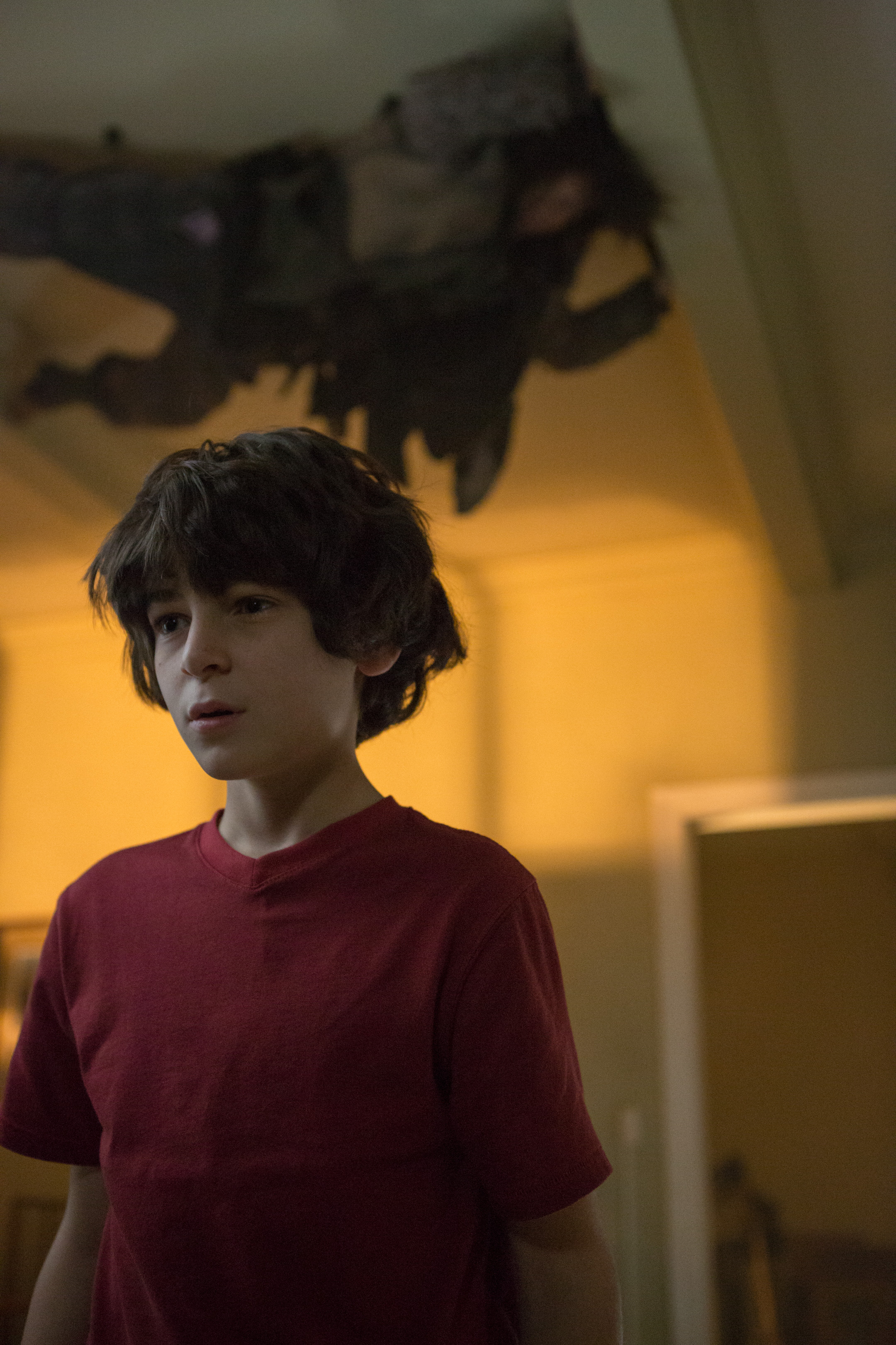 A démon arca (2016) | Teljes filmadatlap | Mafab.hu